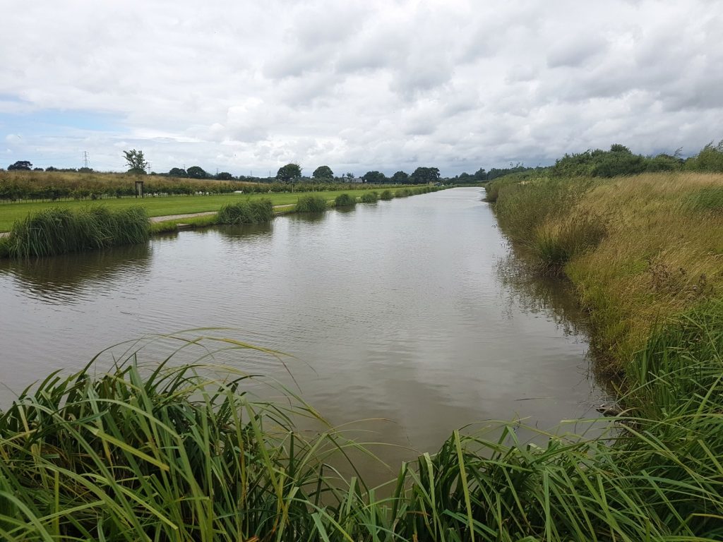 News & Results - Hall Lane Fishery